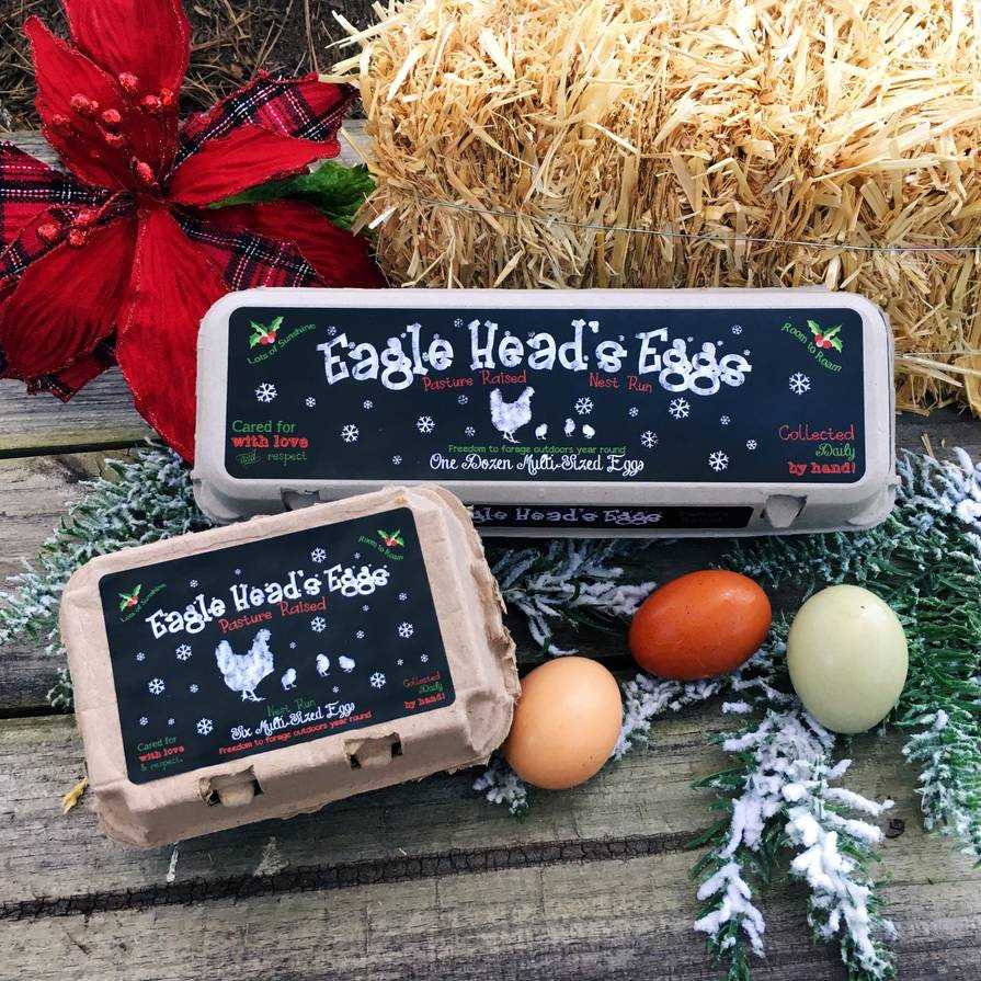 Egg Carton Labels Template Best Professional Templates